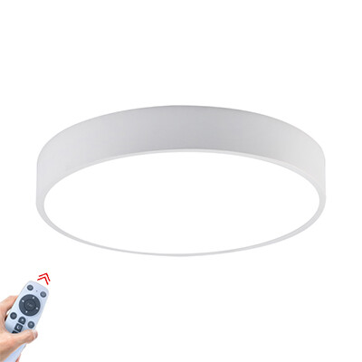 CEILING LIGHT BLADE